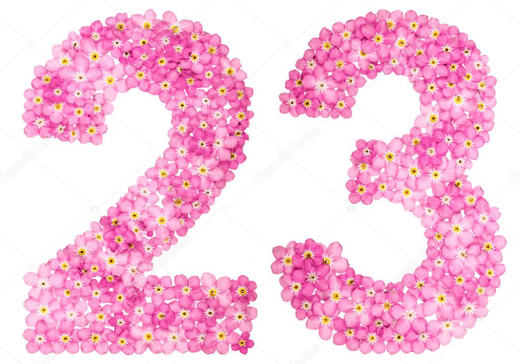 Números arábigos 23, veintitrés, de flores rosadas que no me olvidan ...