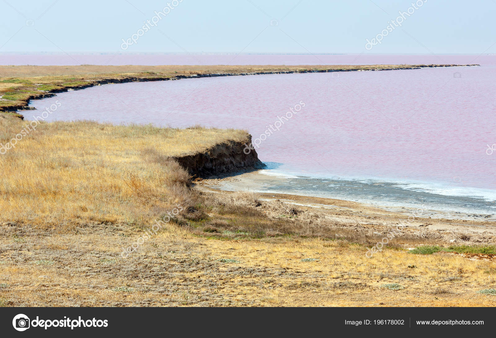 Pink Extremely Salty Syvash Lake Colored Microalgae Also Known Putrid ⬇ ...