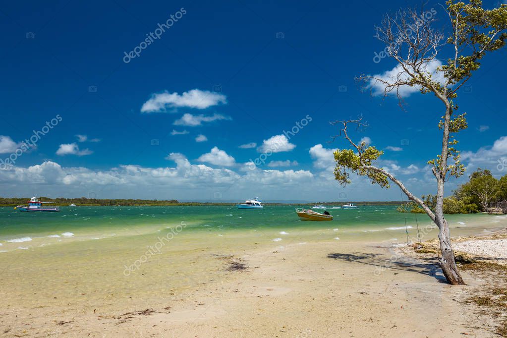 Playa tropical de verano con árboles en el lado este de Bribie Island ...