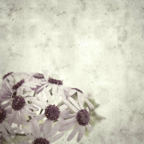 Nonude imx to shiny flowers nonude pixazsexy com images libres de droit ...