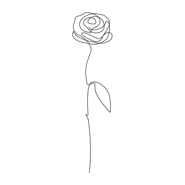 Single line rose Vector Art Stock Images | Depositphotos