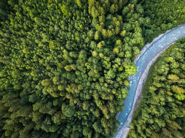 Forest top view Stock Photos, Royalty Free Forest top view Images ...