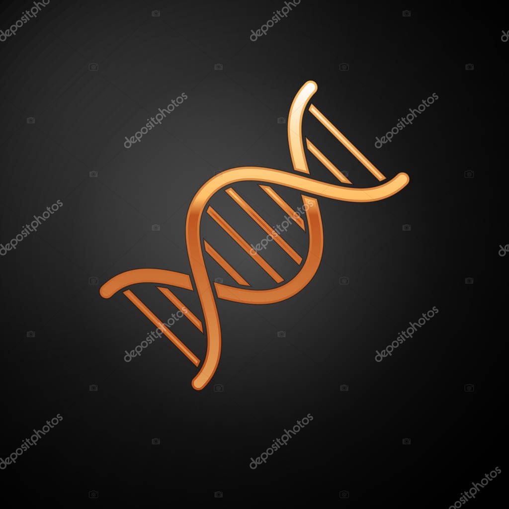 Icono de símbolo de ADN dorado aislado sobre fondo negro. Ilustración ...