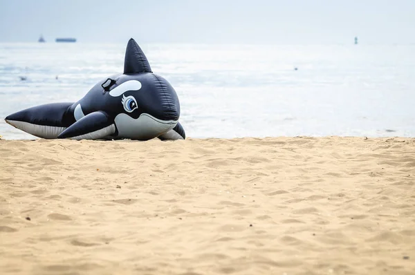 Inflatable whale Stock Photos, Royalty Free Inflatable whale Images ...