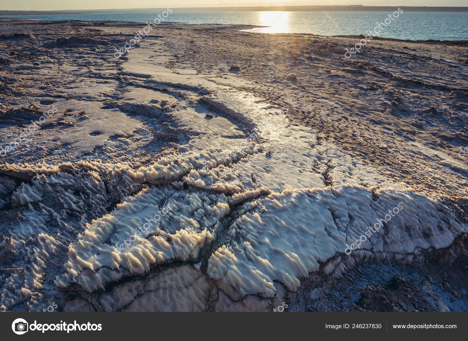 Rock Salt Deposits Dead Sea Salt Lake Shore Jordan — Stock Photo ...