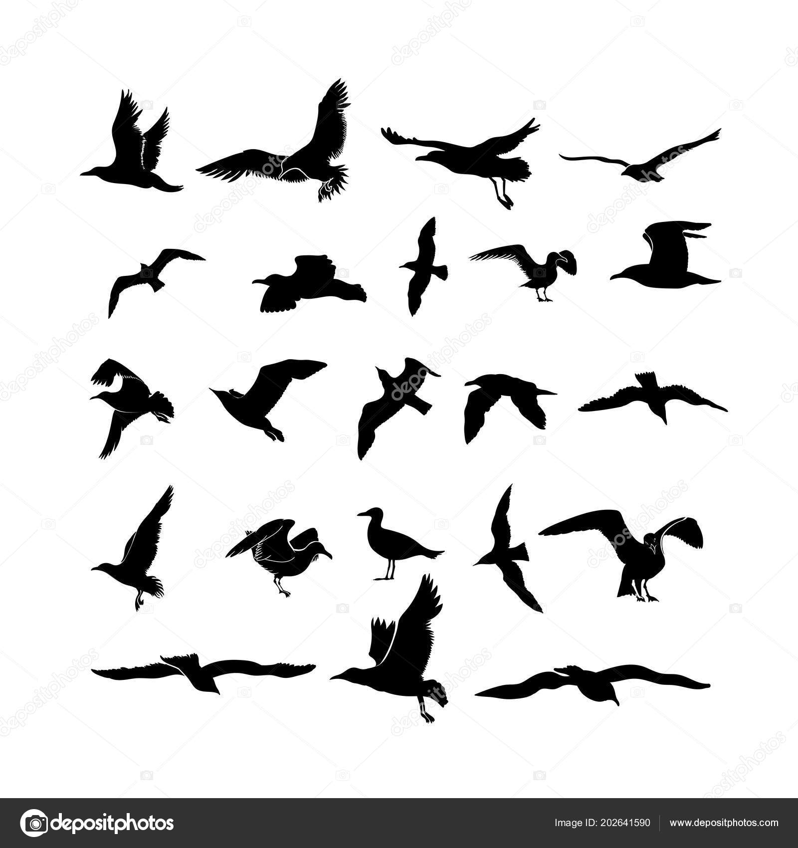 Set Sea Gull Seabird Flying Black Silhouette Freehand Drawing Drawing ...