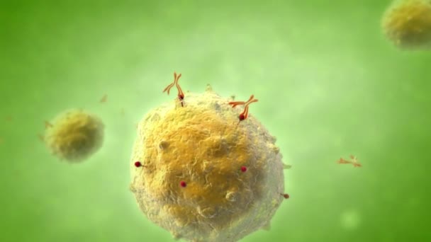 61 Bad cells Videos, Royalty-free Stock Bad cells Footage | Depositphotos