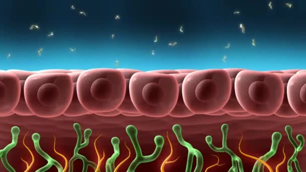 3D Medical Animated Joint Diseases and Needle Therapy — Stock Video ...