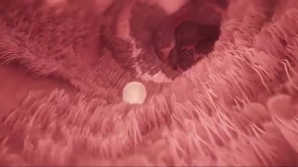 Abstract Animated Deforming Surface Texture Looped Three Dimensional ...