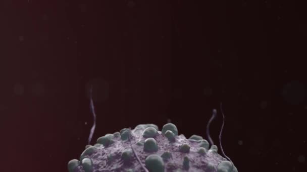 Human Microbiota Animation — Stock Video © volkan83 #228929160