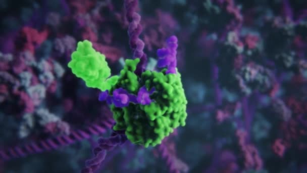 143 Gene editing Videos, Royalty-free Stock Gene editing Footage ...