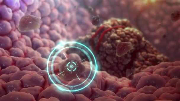 Fat cell burning. cell damage. realistic 3d animation — Stock Video ...