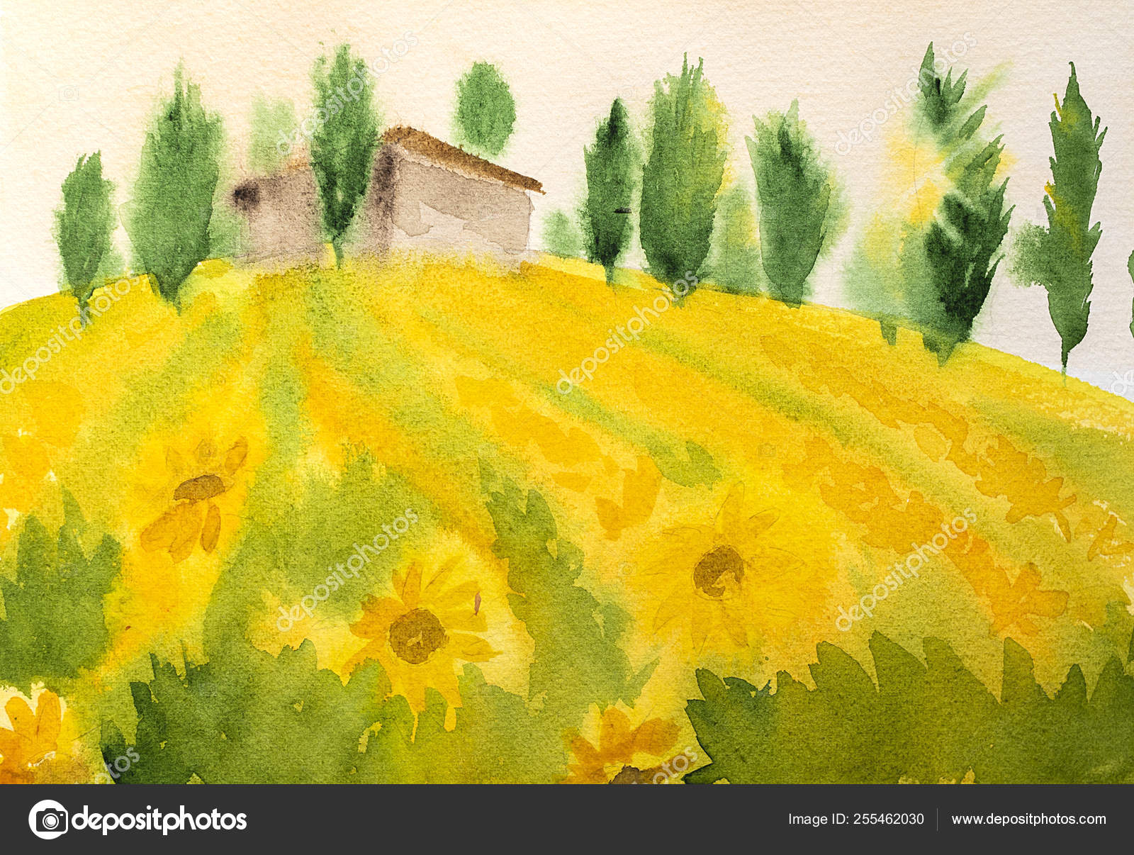 Adstract Watercolor Hand Drawn Field Sunflowers Original Painting Stock ...