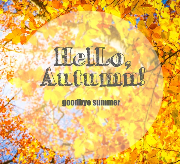 Od léta do podzimu stock fotografie, royalty free Od léta do podzimu ...