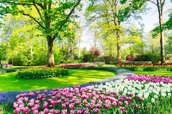 Panorama of spring flowers Stock Photos, Royalty Free Panorama of ...