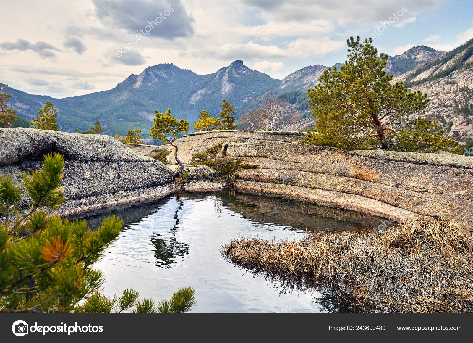 Beautiful Curved Pine Lake Mountains Karkaraly National Park Central ...