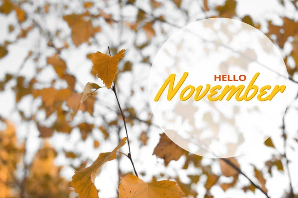 Hello november background Stock Photos, Royalty Free Hello november ...