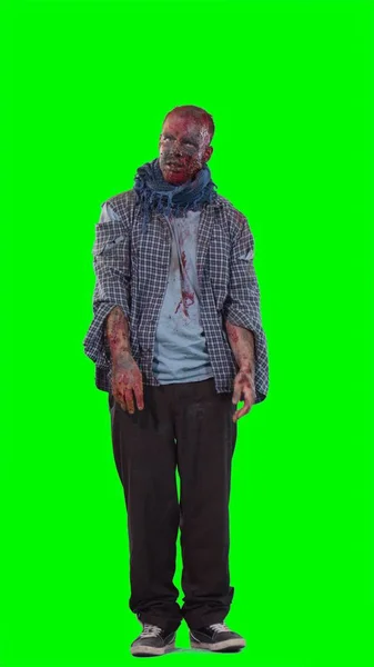 Fallout boy profile photo picture Stock Photos, Royalty Free Fallout ...