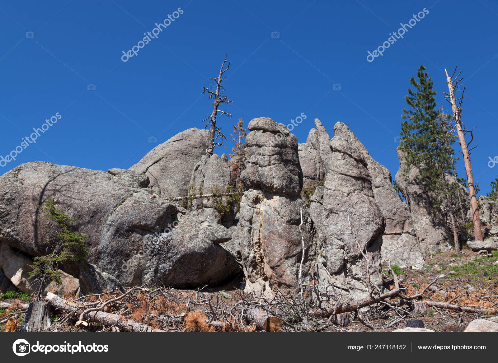 Forest Rock Formations