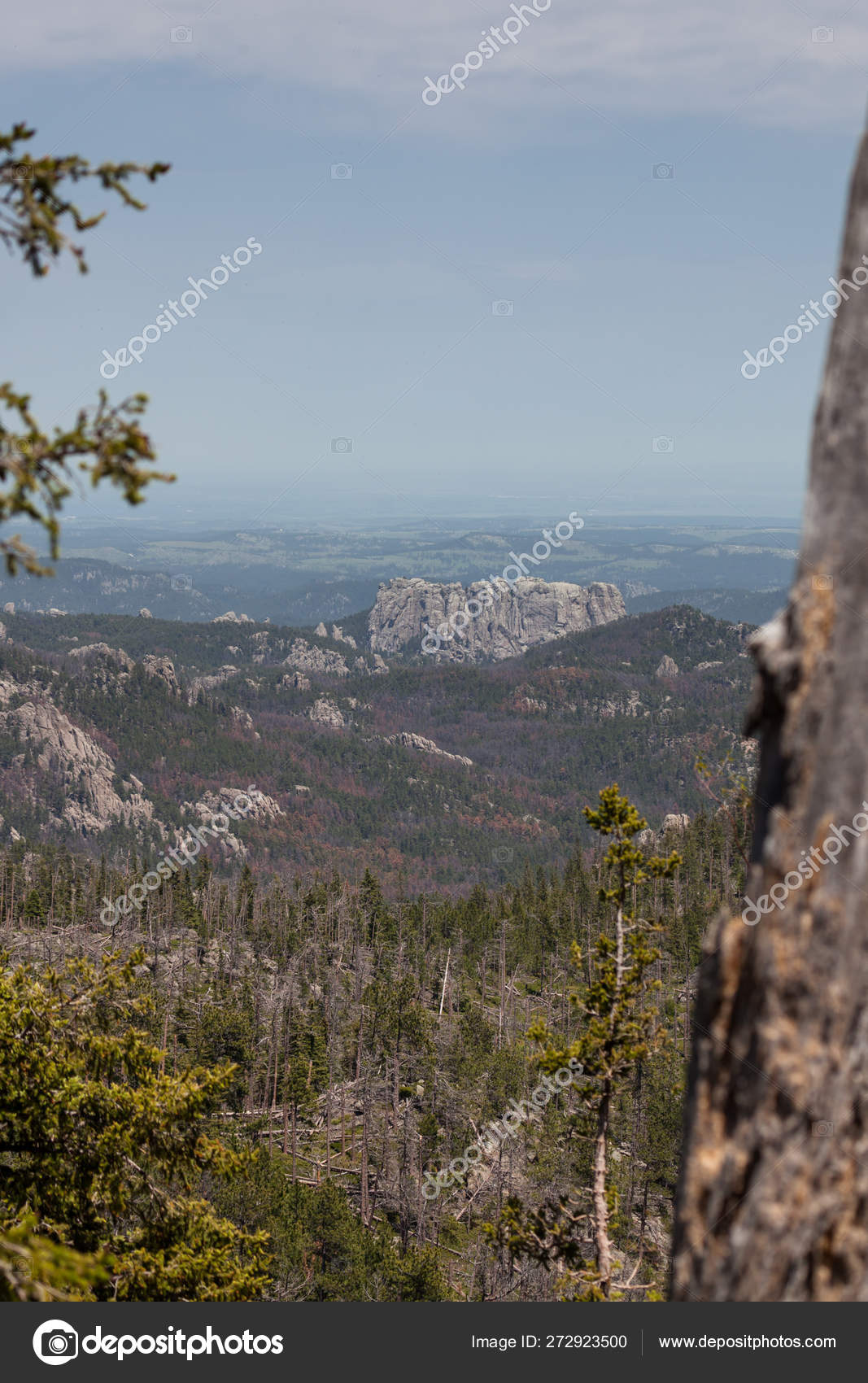 Back Side of Mount Rushmore Landscape Stock Photo by ©tamifreed 272923500