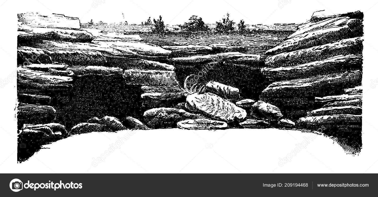 Epochs Nature Classification Vintage Engraved Illustration Earth Man ...