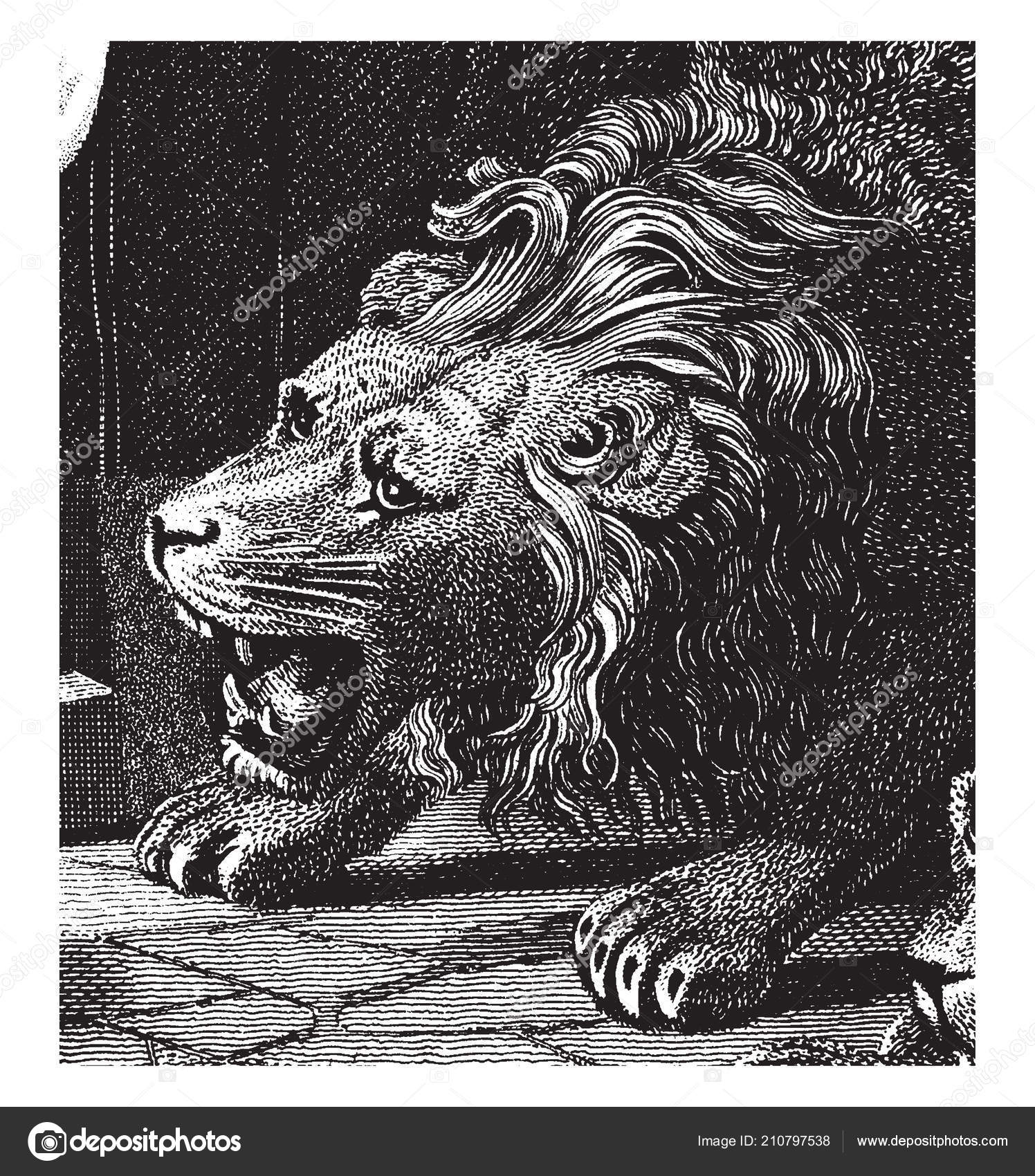 Lion Den Drawing