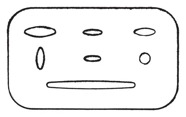 Erasing shield Vector Art Stock Images | Depositphotos