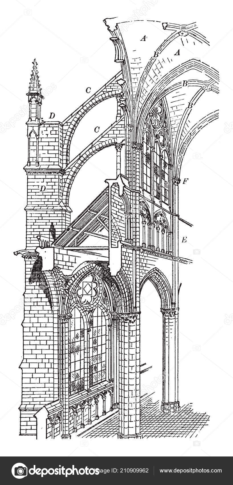 Cathedral cross section | Amiens Cathedral Cross Section Gothic ...