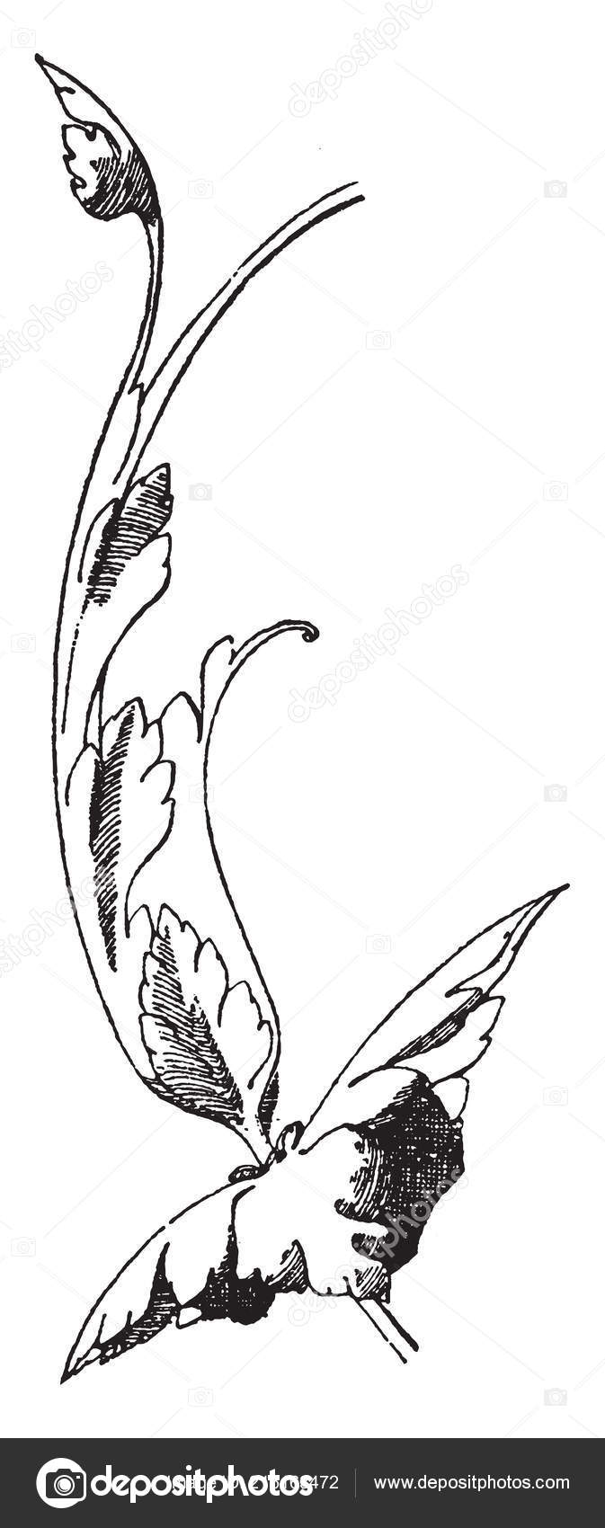 Lectern Relief Details Shown Cathedral Limoges Vintage Line Drawing ...