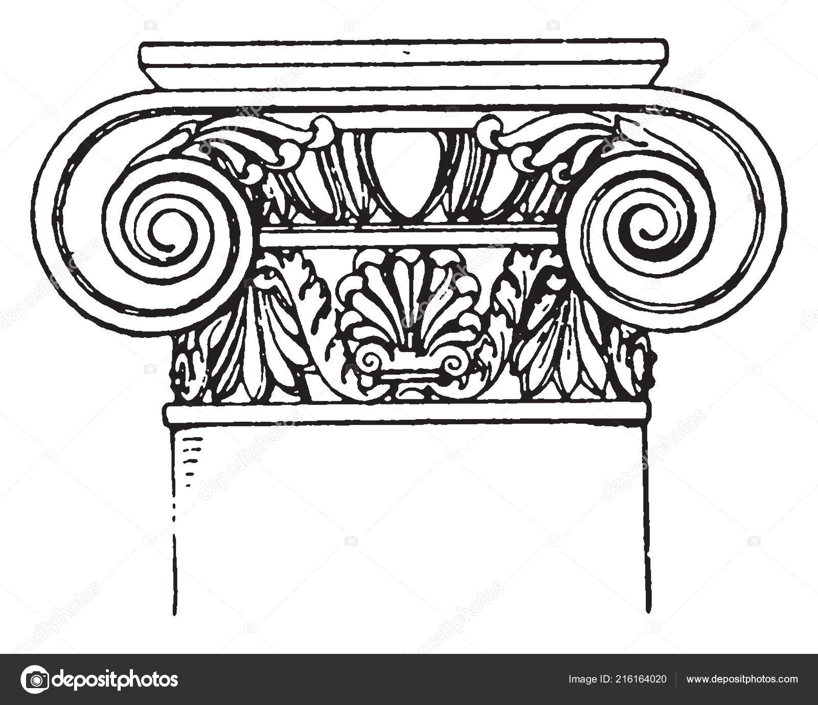 Roman Ionic Capital Design Scroll Rolled Both Sides Spiral Curves Stock ...