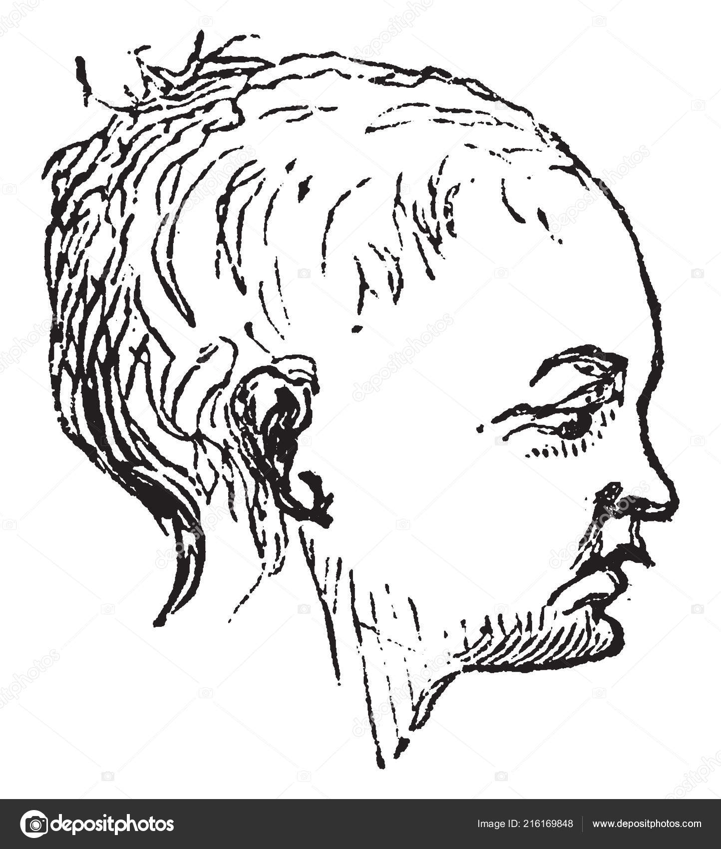 Face Man Head Profile Picture Vintage Line Drawing Engraving ...