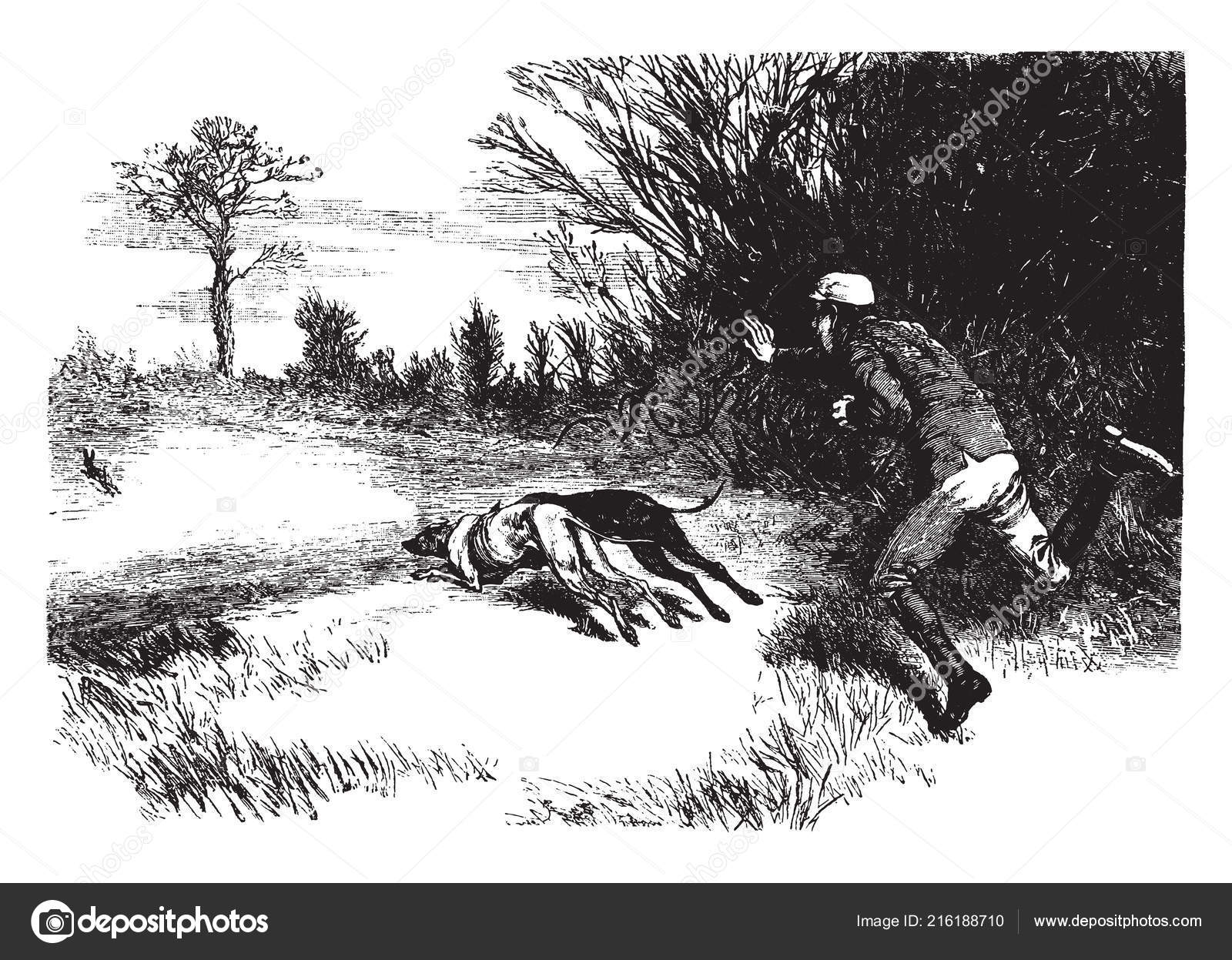 Man Hunting Rabbit Help His Companion Dogs Vintage Line Drawing Stock ...