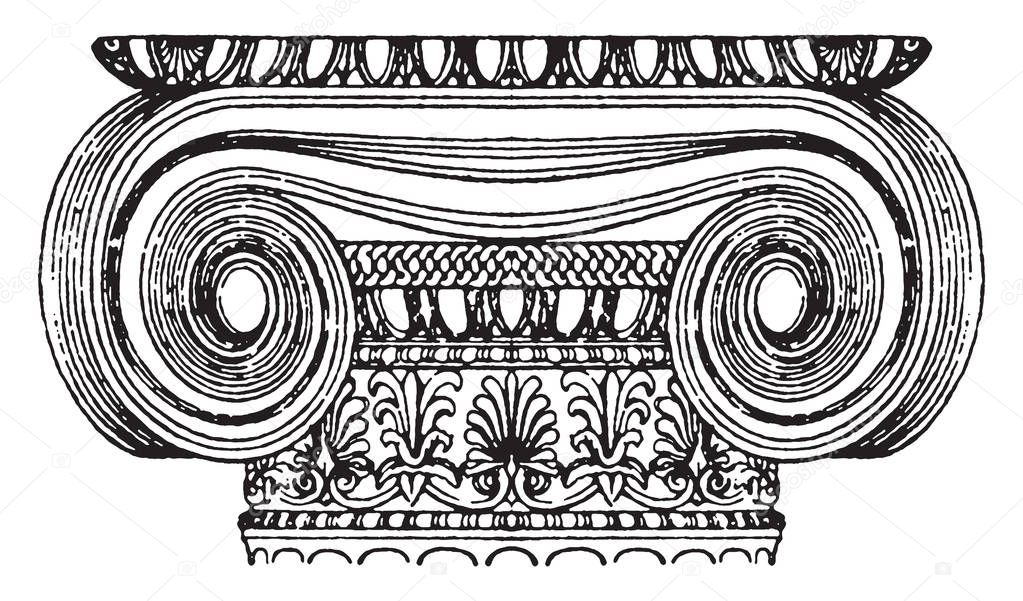 Vettoriale stockCapitello Graeco Ionico Disegno Rotolo Laminato ...