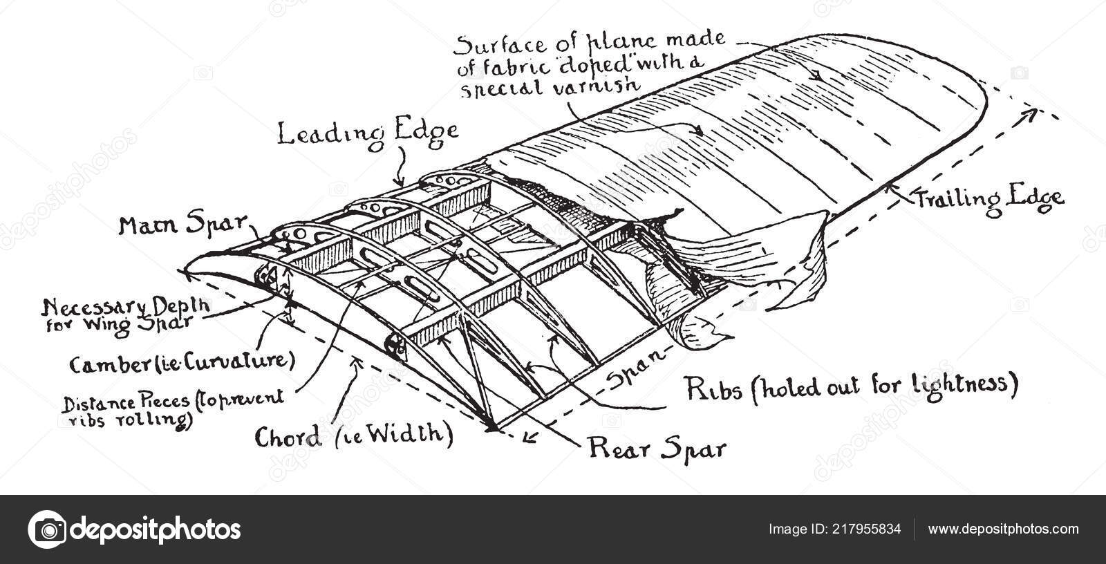 Airplane Wing Diagram Shape Wing Creates Lift Draft Ratio Create Stock ...