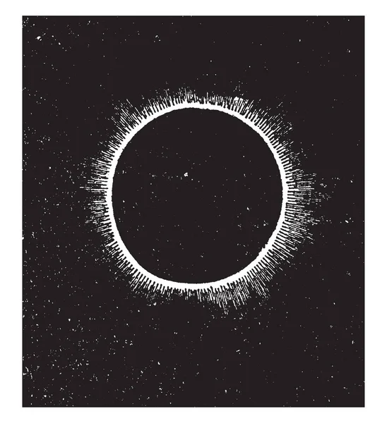 100,000 Sun engraving Vector Images | Depositphotos