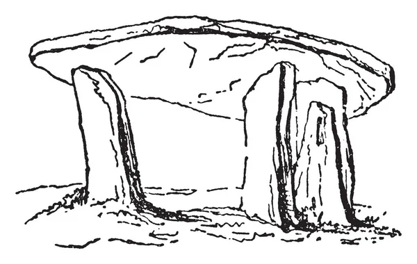 100,000 Geology cartoon Vector Images | Depositphotos