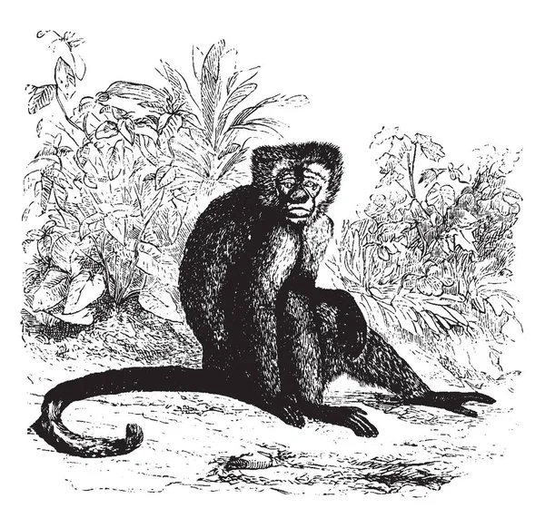 14 Unobtrusive Stock Illustrations | Depositphotos