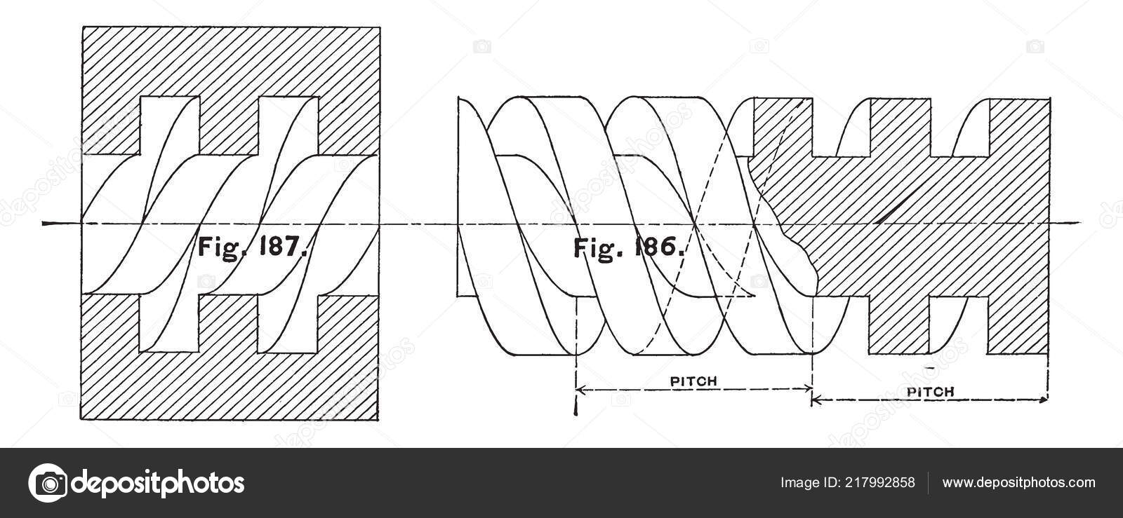 Diagram Square Thread Nut Screws Cut Half Wide Variety Fasteners Stock ...