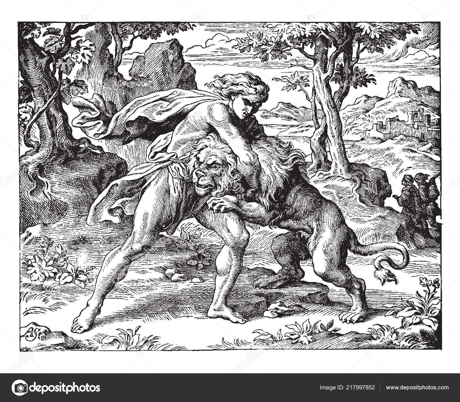 Fighting Lion Drawing