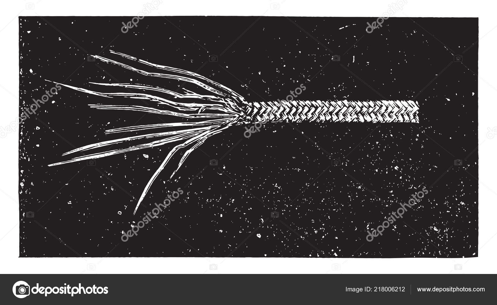 English Braid Pin Ends Vintage Engraved Illustration Industrial ...