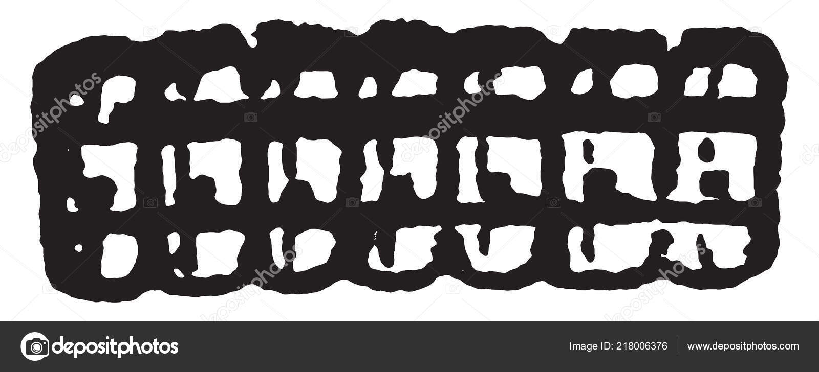 Cabbage Bug Also Known Calico Bug Vintage Line Drawing Engraving Stock ...