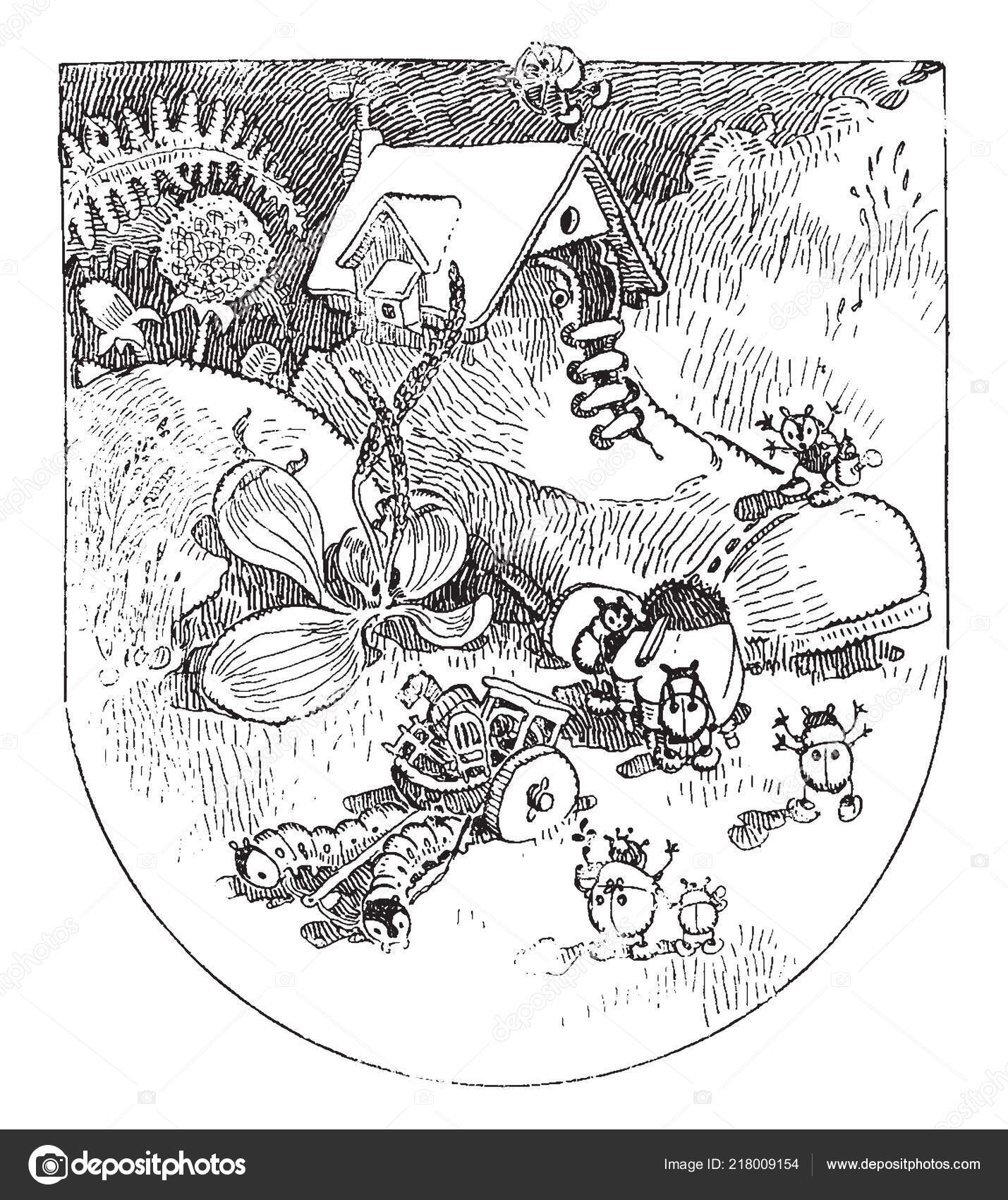 Boot Turned Home Small Insects Name Suggest Scene Shows Boot Stock ...