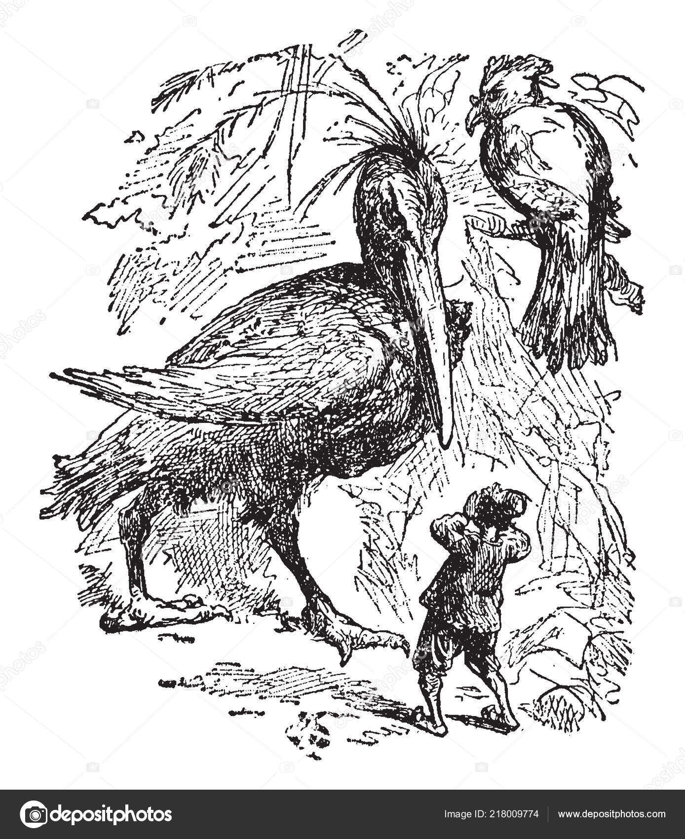 Giant Birds Scene Shows Giant Bird Looking Man One Bird Stock Vector ...