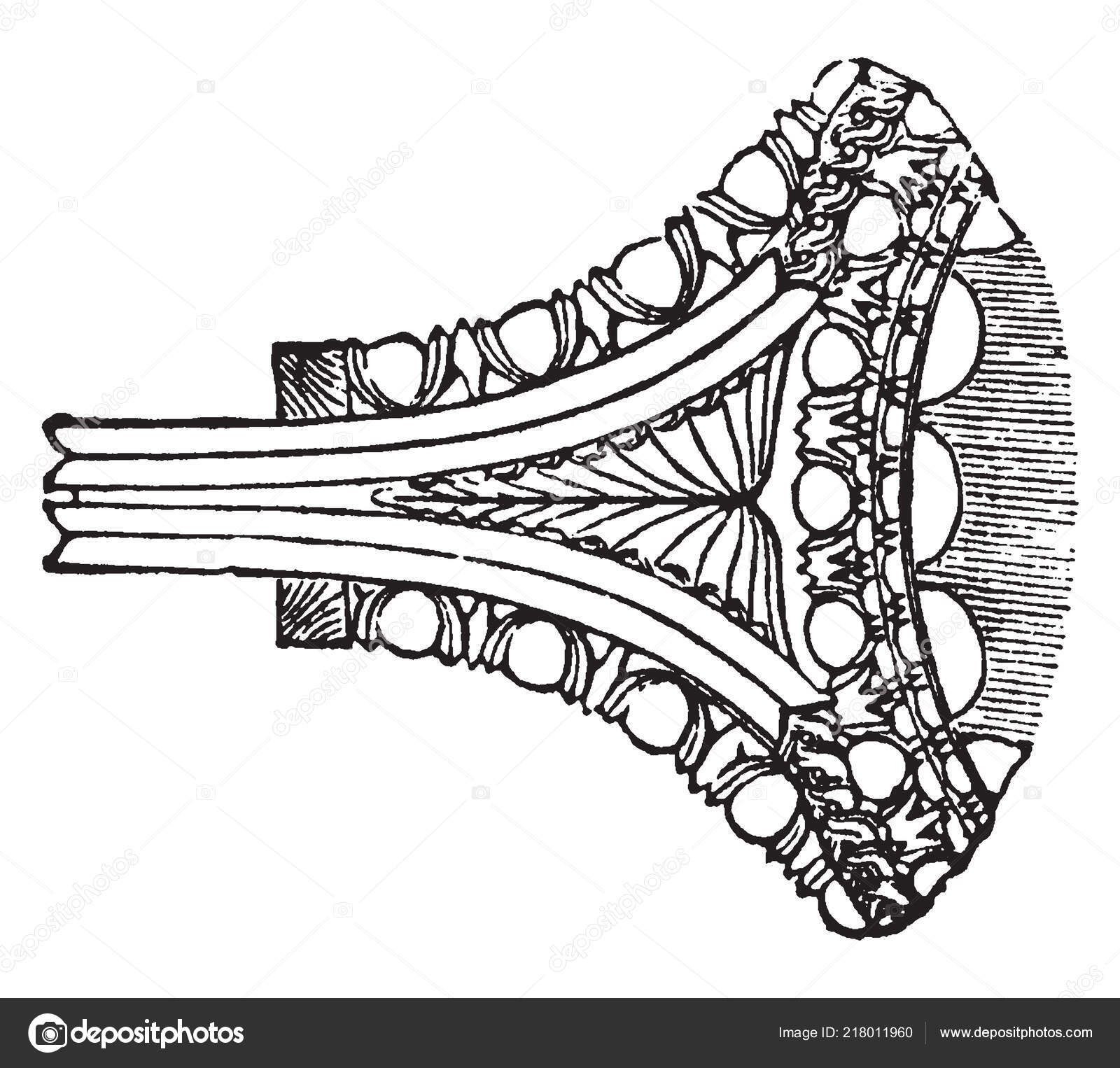 Plan Ionic Antae Capital Temple Minerva Polias Athens Scandinavia Dated ...