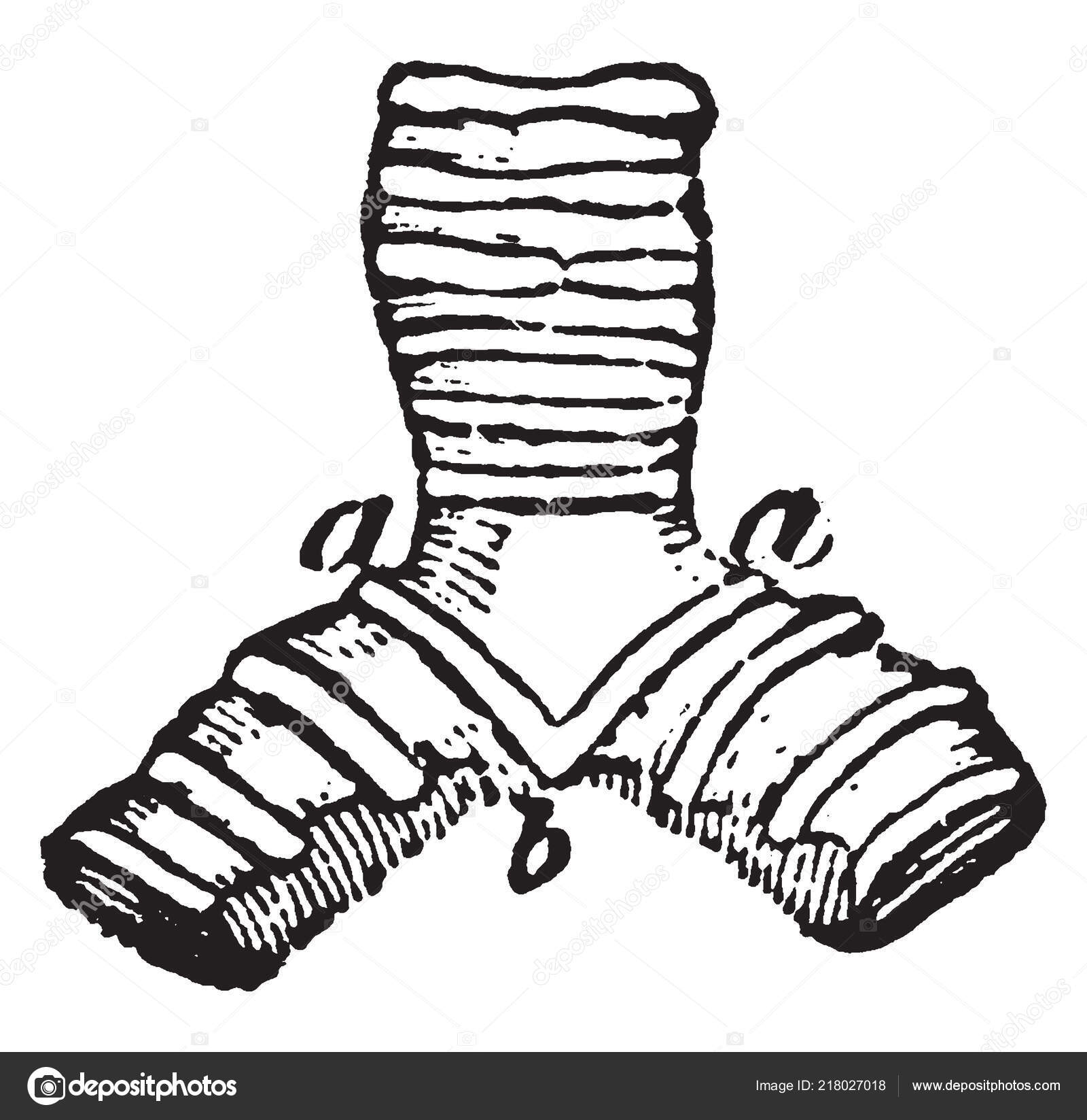 Illustration Represents Trachea Rook Vintage Line Drawing Engraving ...