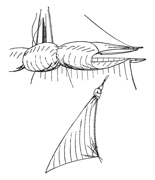 18 Derisive Vector Images, Derisive Illustrations | Depositphotos