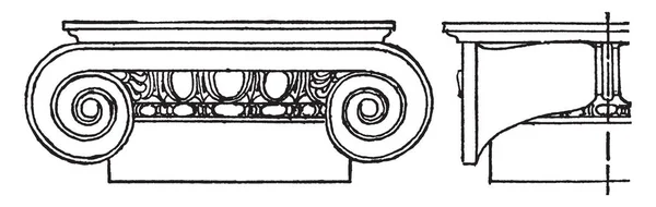 Stem with columns Stock Photos, Royalty Free Stem with columns Images ...