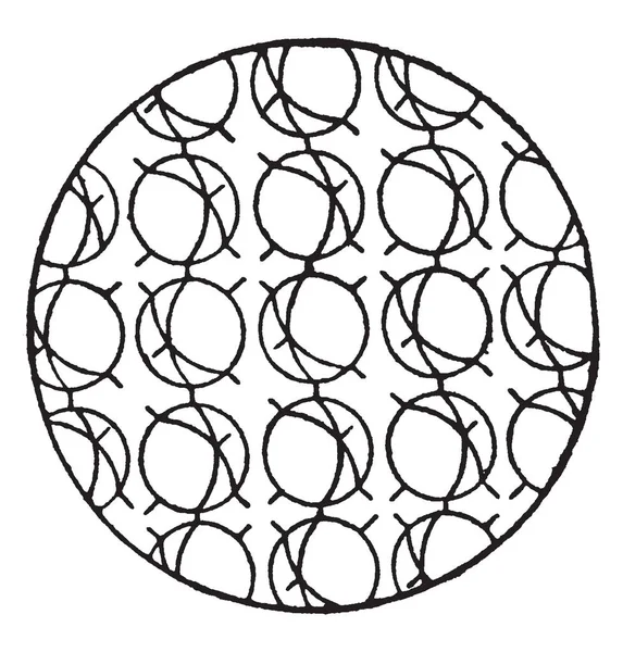 Diagram Represents Orientation Molecules Solid Vintage Line Drawing ...