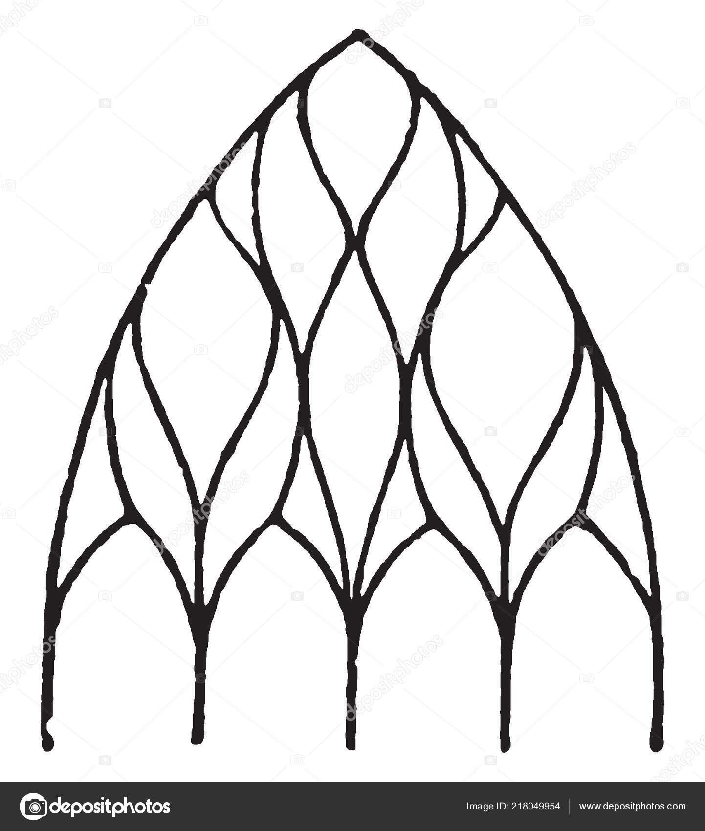 Tracery Intersection Various Forms Masons Draw Designs Advance ...