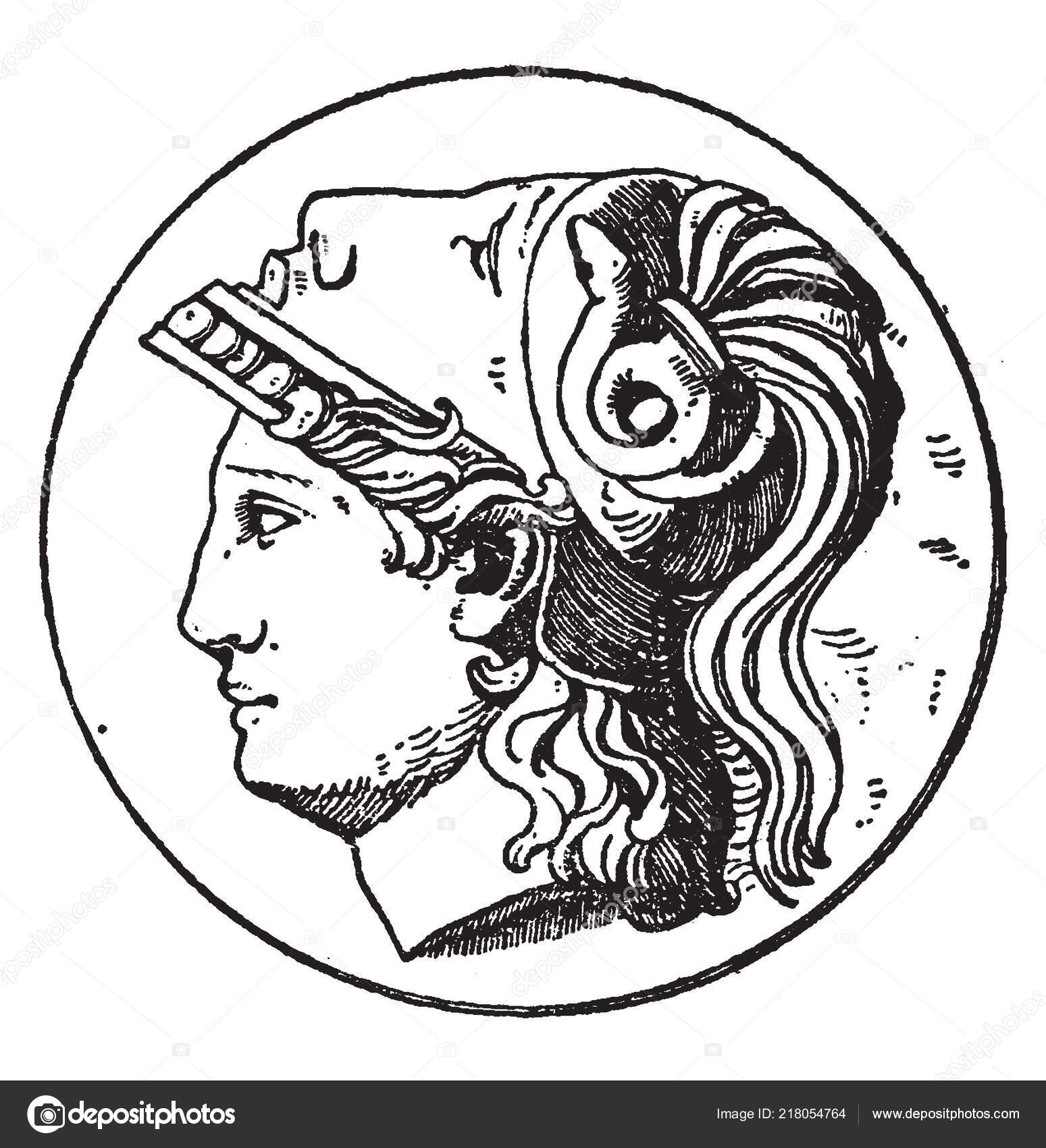 Picture Minerva Head Which Design Greek Goddess Athena Design ...